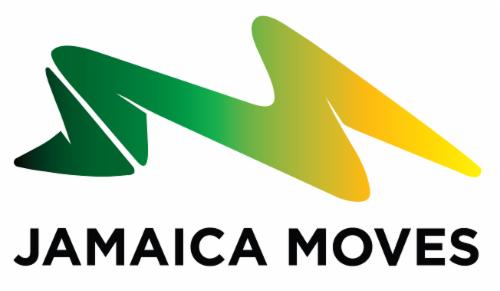 Hyacinth Gayle-Watson - 3K Fun Run - 2025 Ministry of Health & Wellness ...